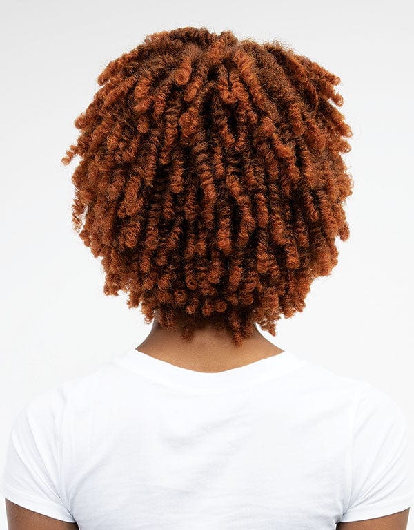 Janet Collection Kane Natural Curly Afro Synthetic Wig – Exodus Beauty